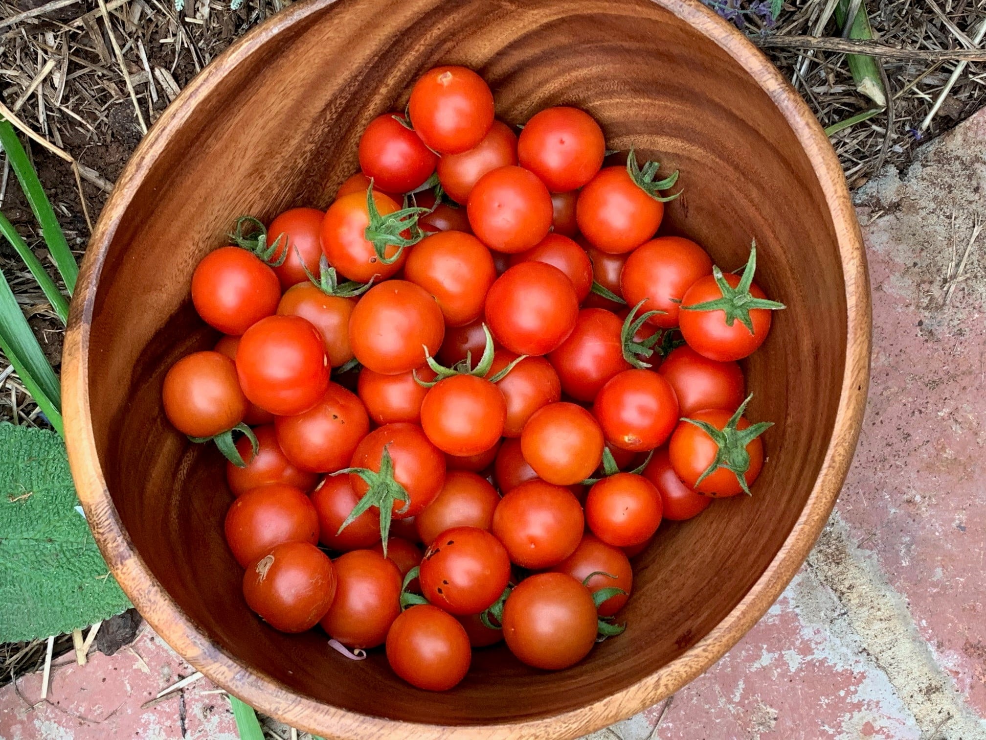 Highton - Geelong Sustainability