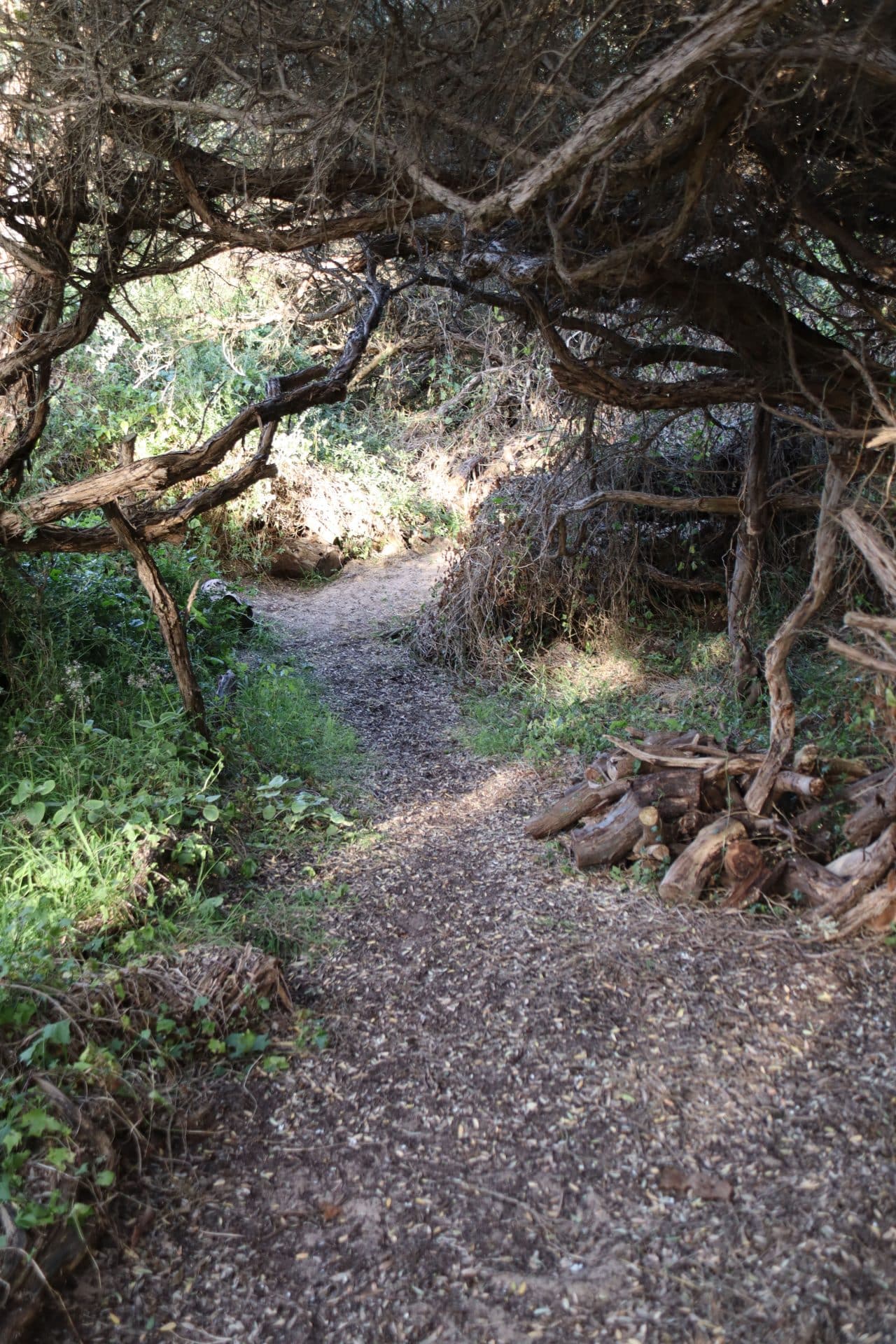 Breamlea - Geelong Sustainability