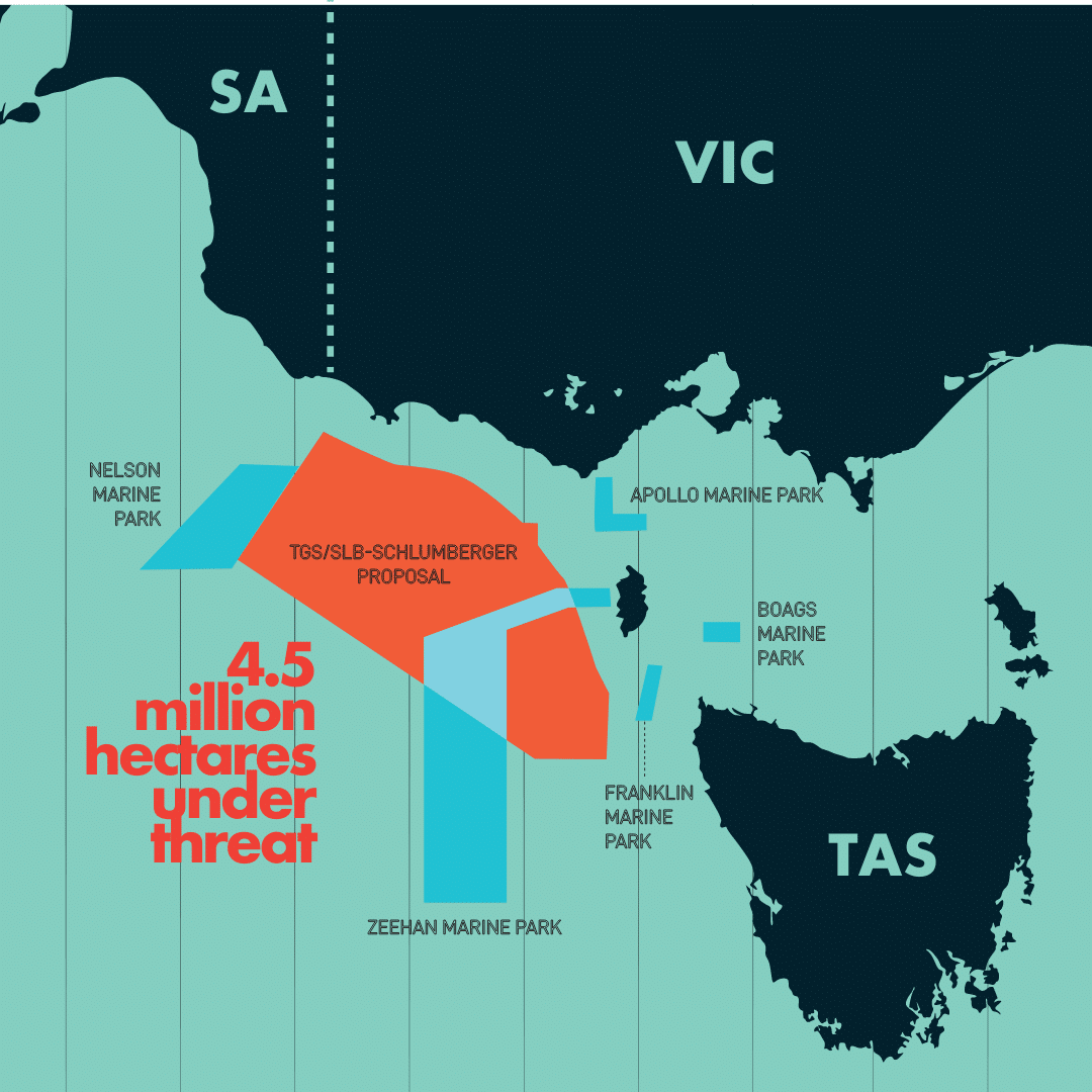 Save the Southern Sea - Geelong Sustainability