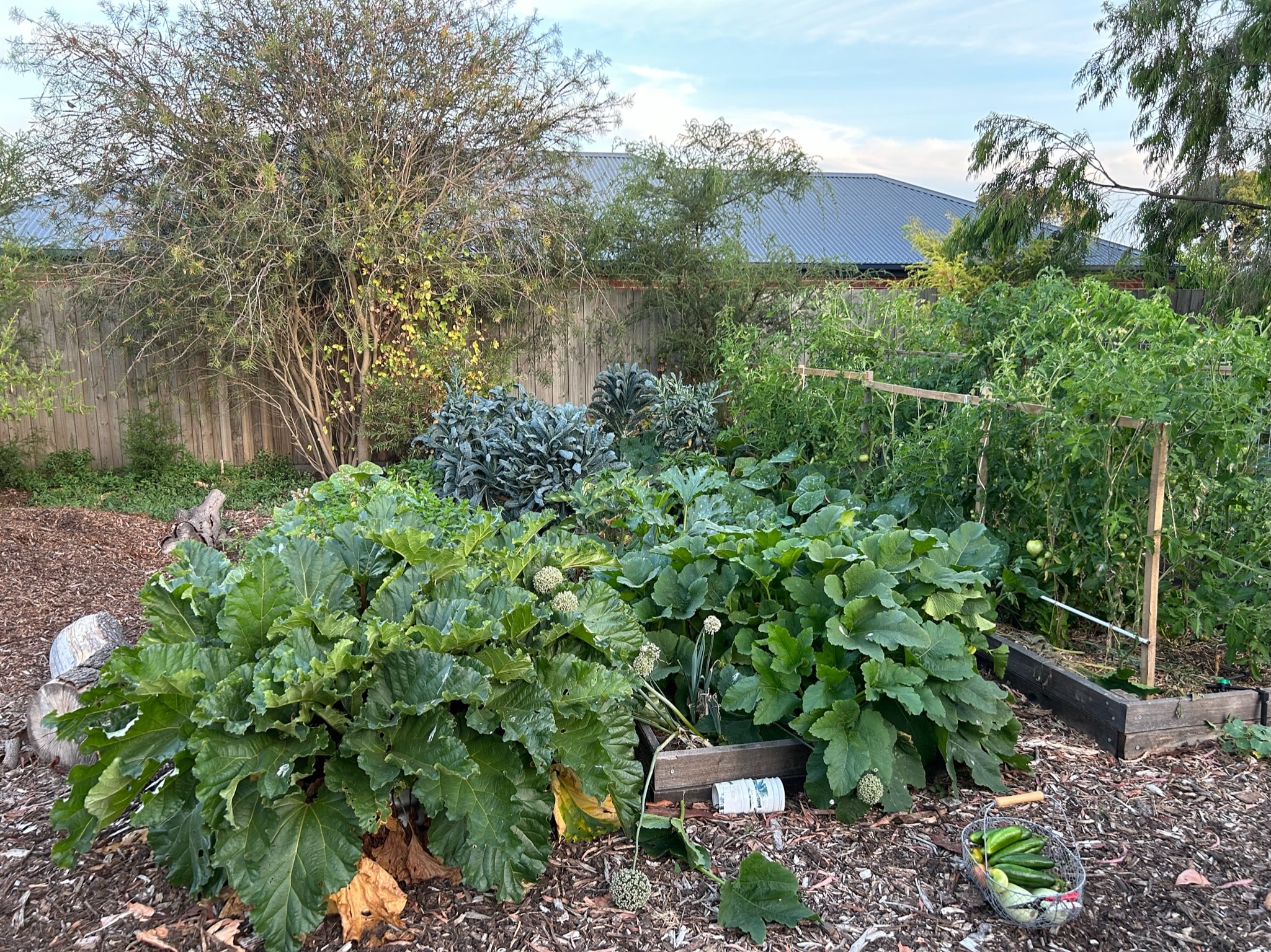 Hamlyn Heights: Retrofit and renovation - Geelong Sustainability