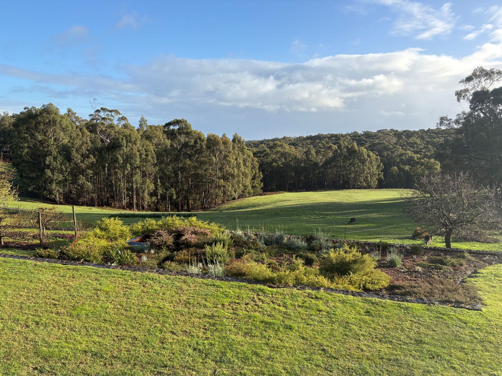 Deans Marsh - Geelong Sustainability