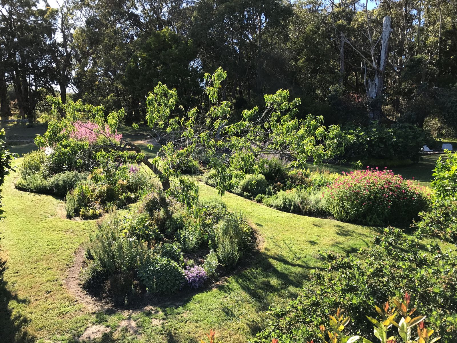 Deans Marsh - Geelong Sustainability
