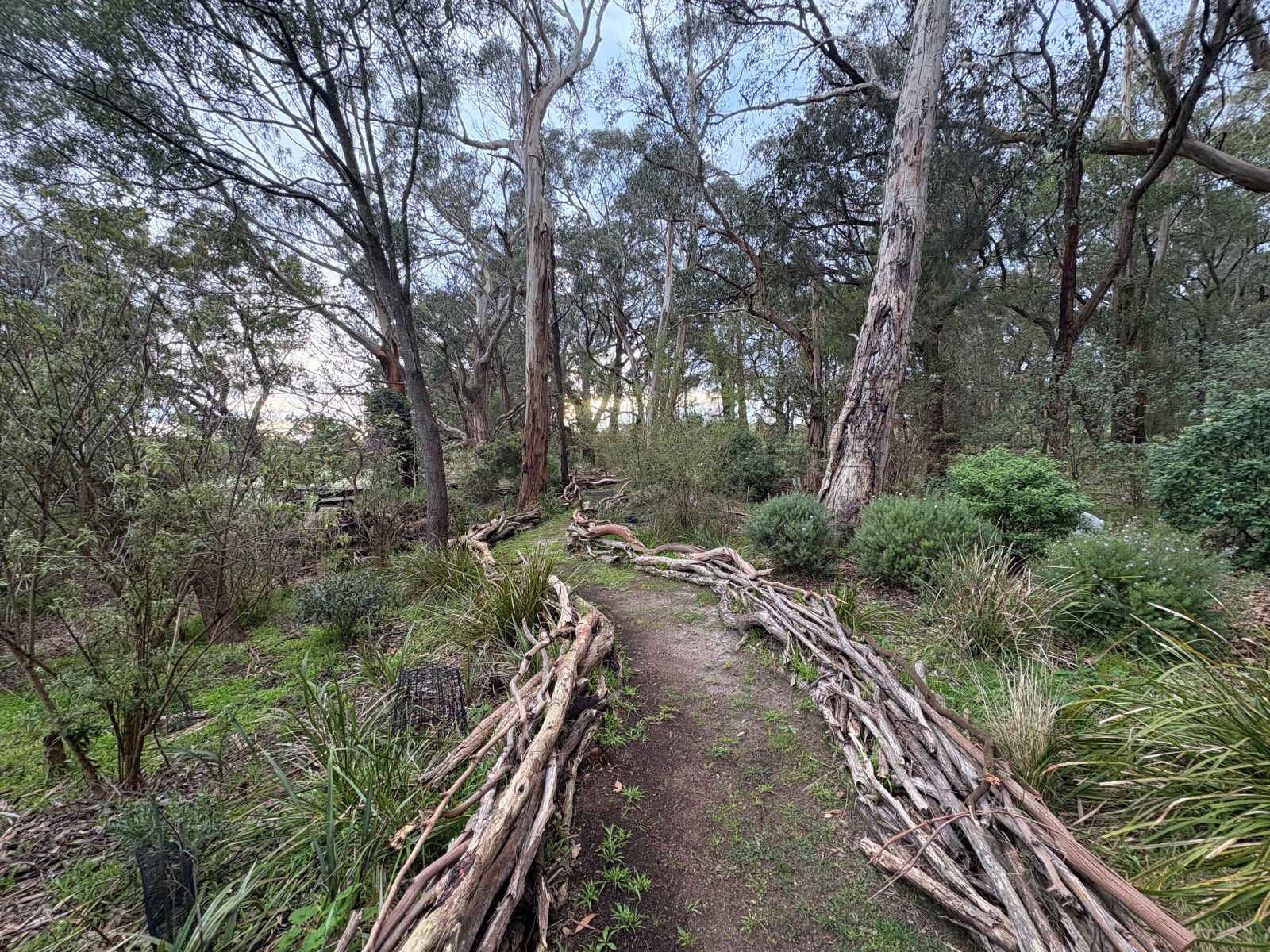 Deans Marsh - Geelong Sustainability